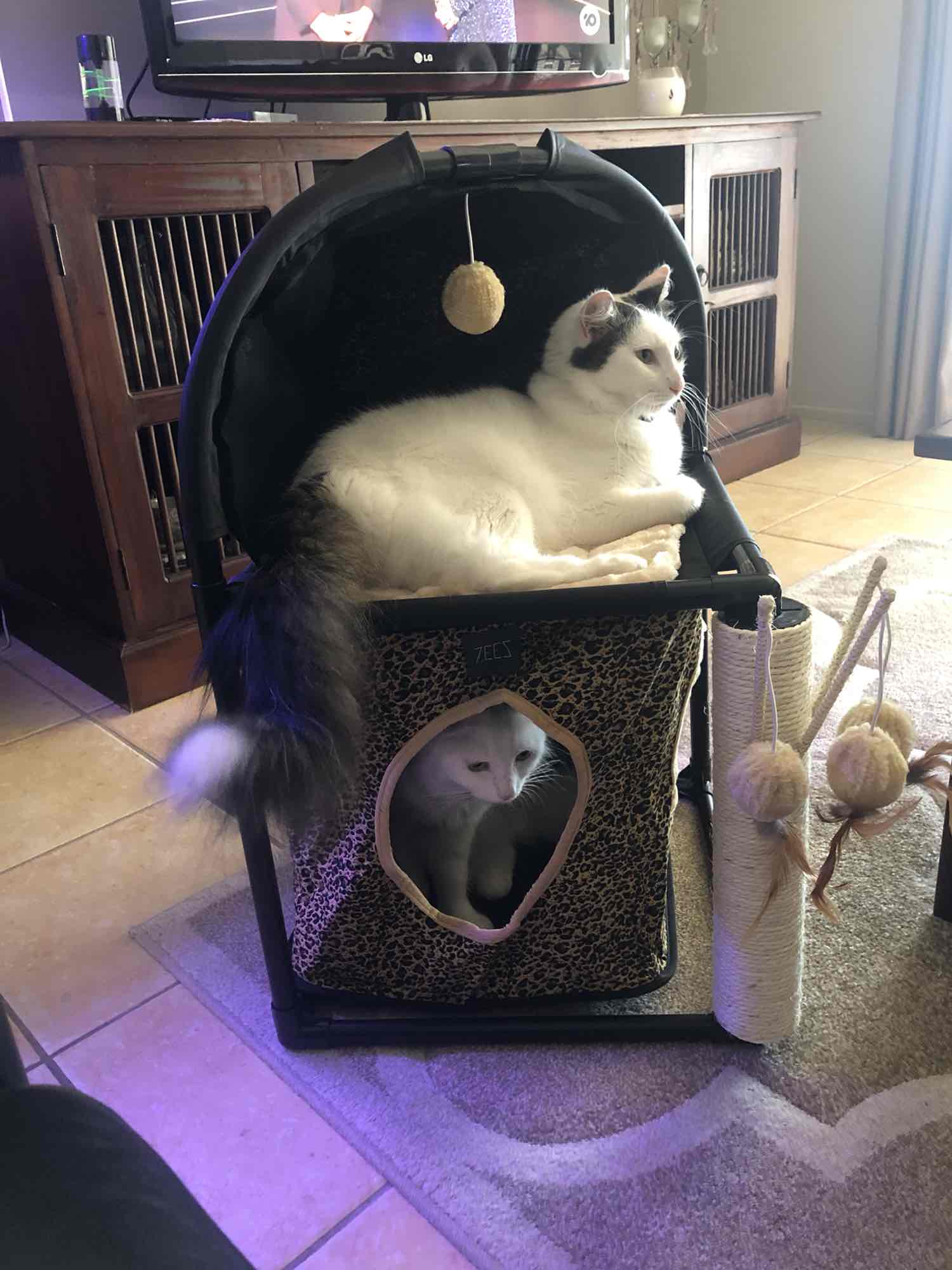 ZeeZ Feline Cube Scratching Post Fun House Tree Toy For Cats - $78.74