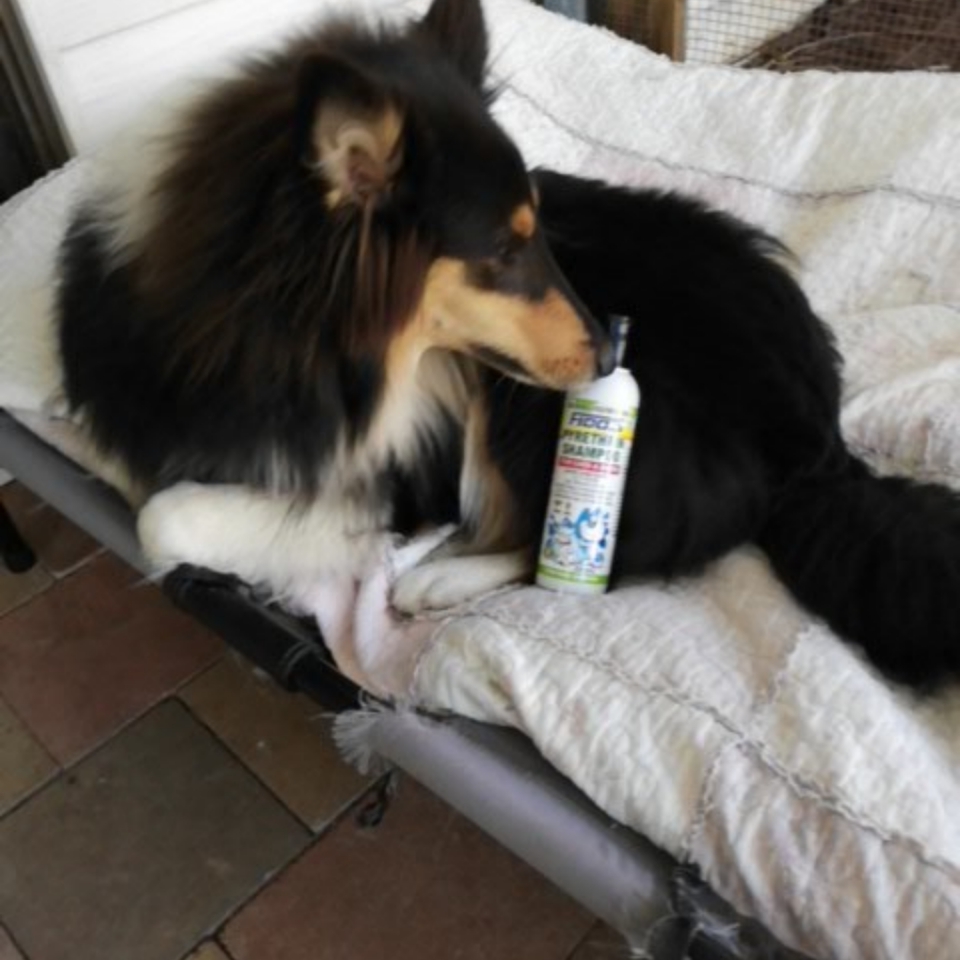 Fidos Pyrethrin Shampoo For Dogs And Cats 500ml - $20.49