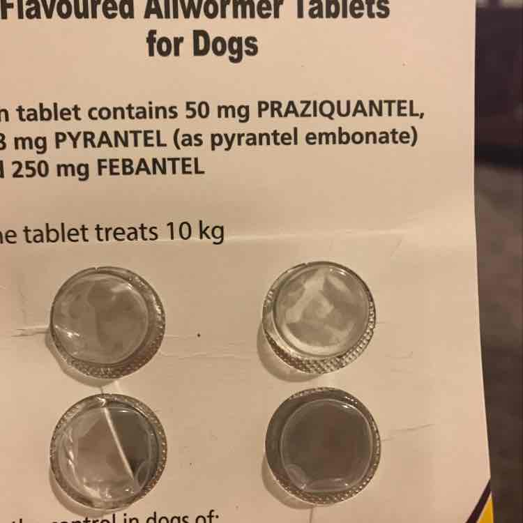 Cazitel Allwormer For Dogs 10kg 4 Tablets - $28.02