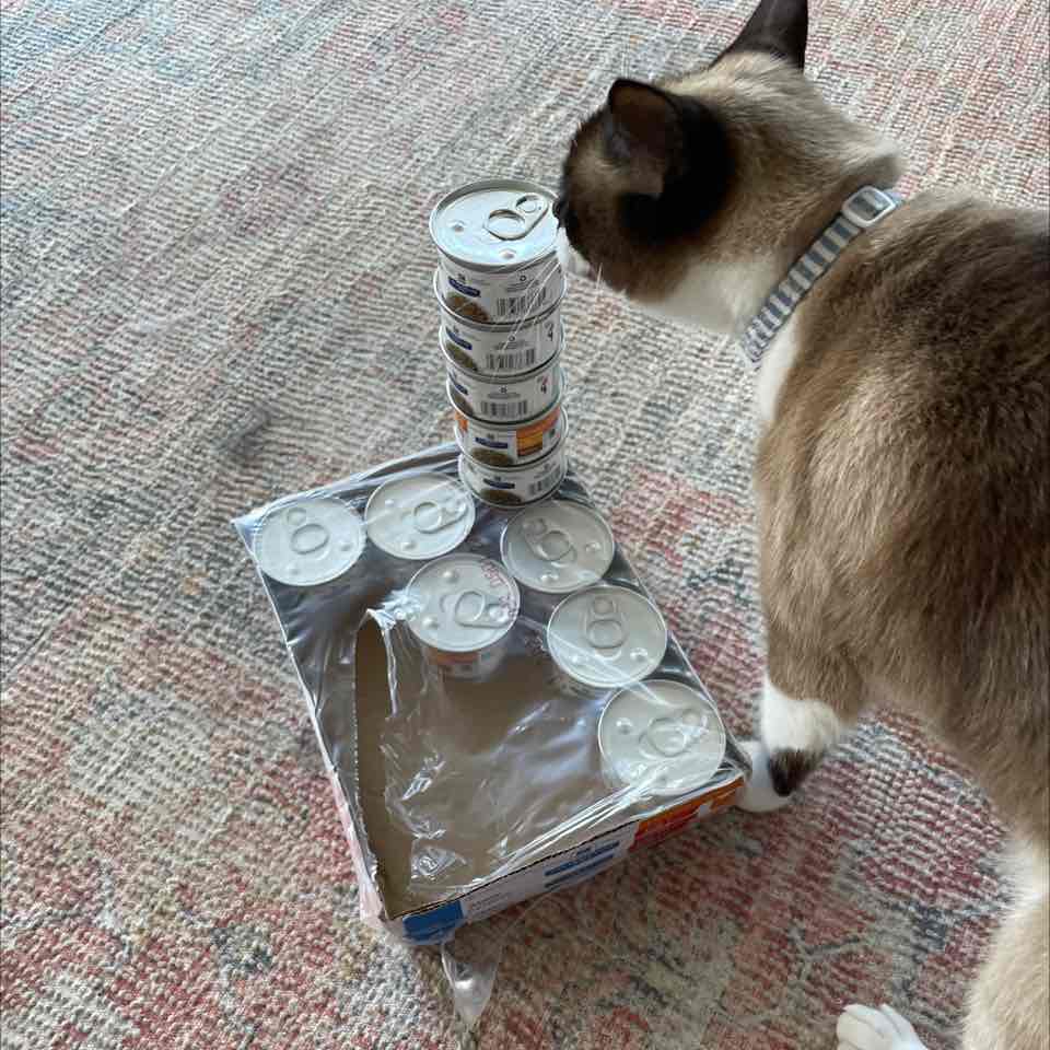 Hills Prescription Diet Feline cd Urinary Care Multicare Urinary Stress ...