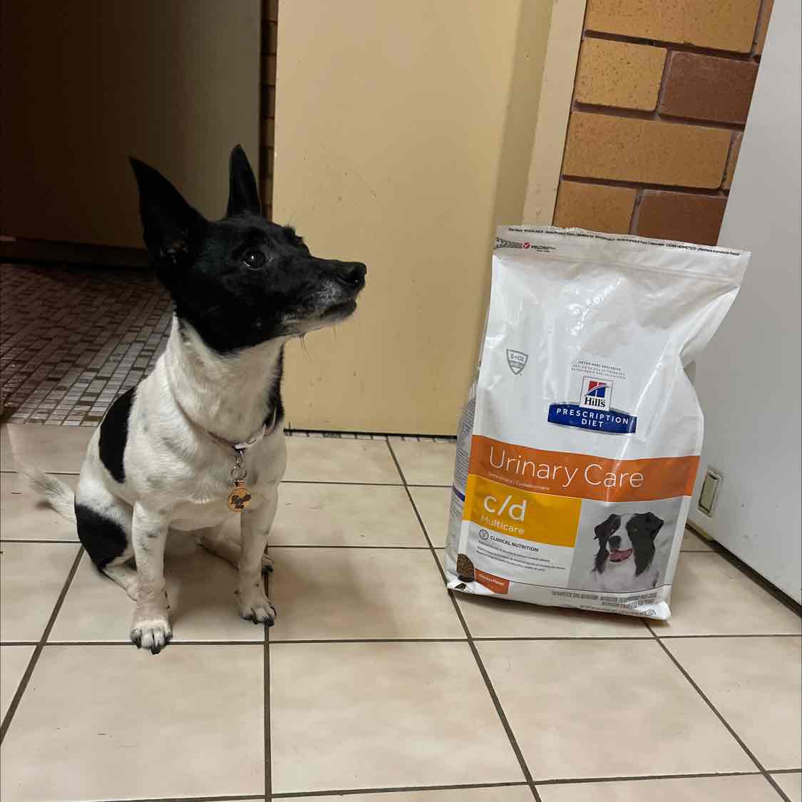 Hills Prescription Diet Canine cd Urinary Care Multicare Chicken Dry ...