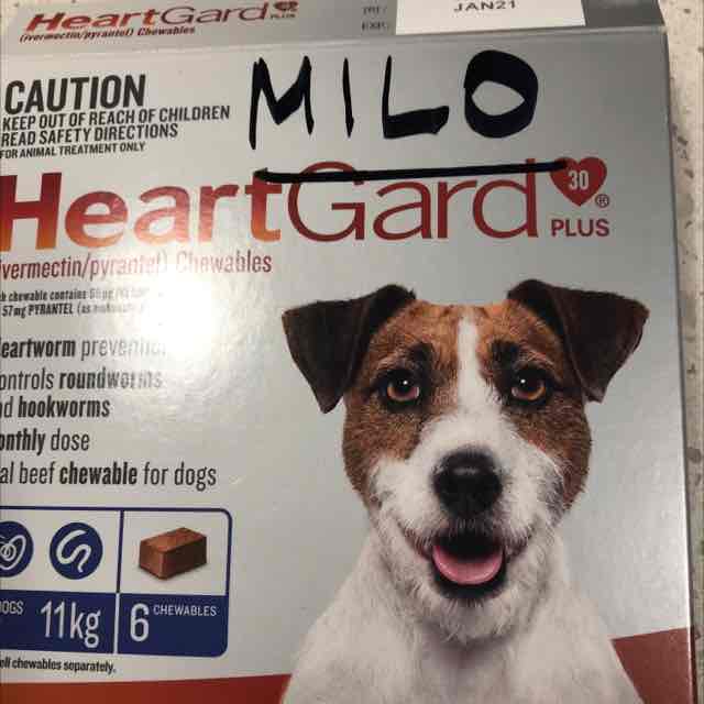 Heartgard Plus For Small Dogs Up To 11kg Blue 6 Chewables - $44.71