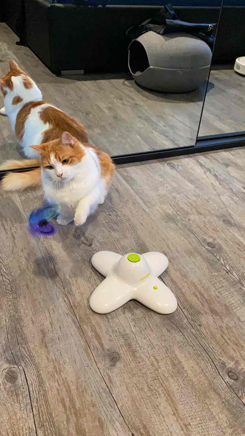 AFP Interactives Flutter Bug Butterfly Toy For Cats - $32.99