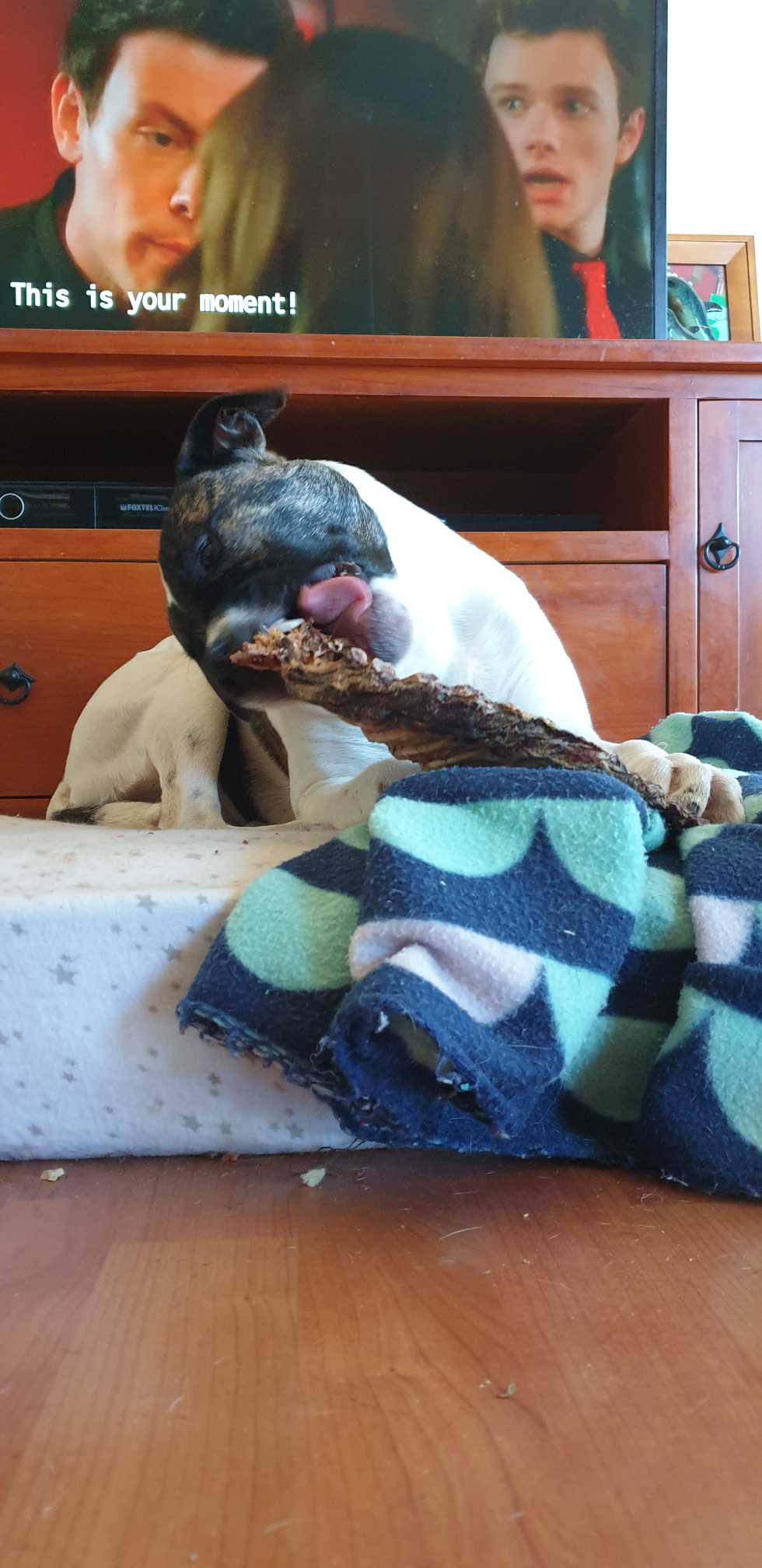 WAG Kangaroo Rib Rack Natural Dried Single Treat For Dogs - $9.99