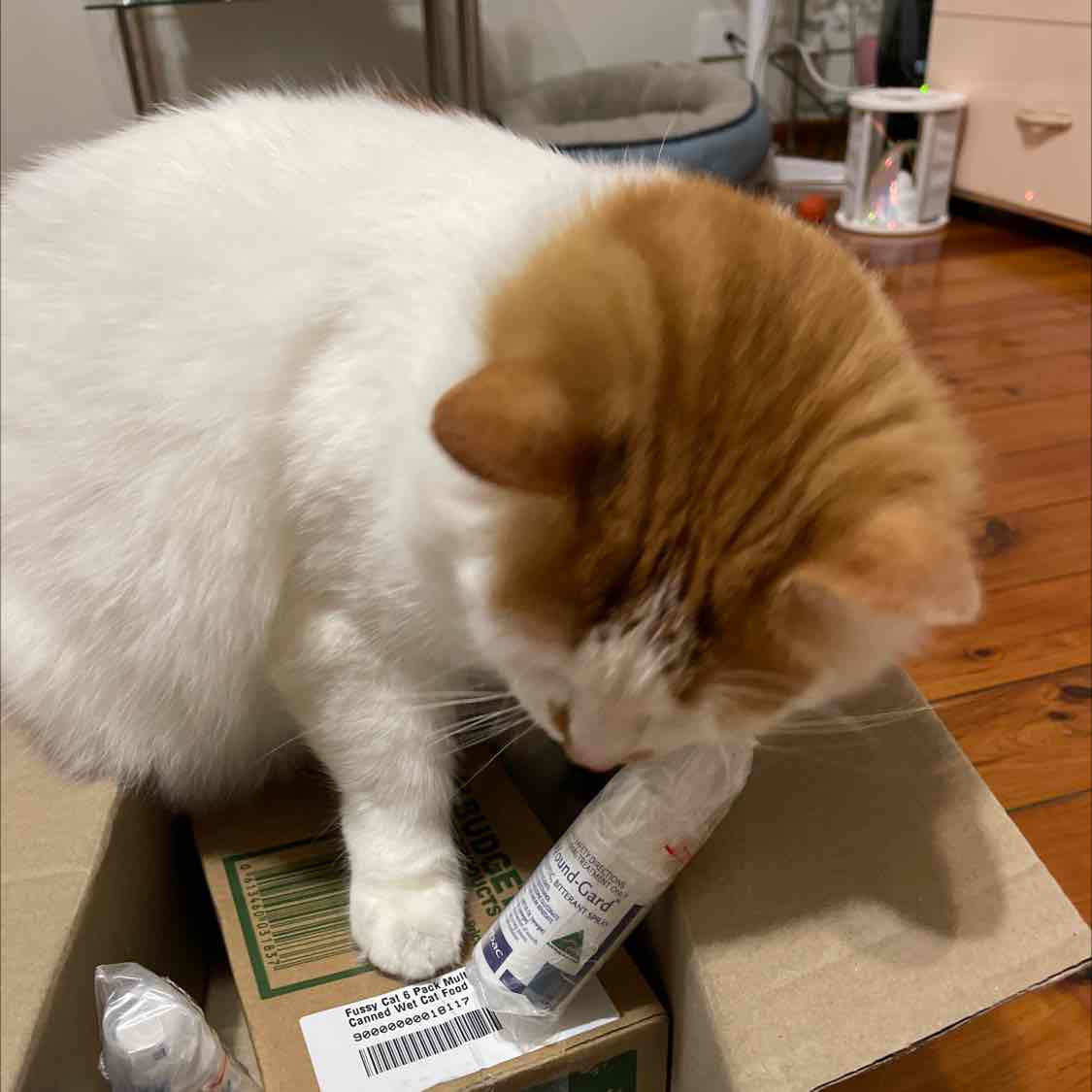 Wound Gard Antiseptic Bitterant Spray For Dogs and Cats 100ml - $31.92