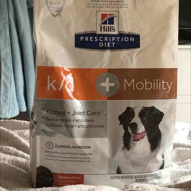 Hills Prescription Diet Canine kd Plus Mobility Kidney Plus Joint Care ...