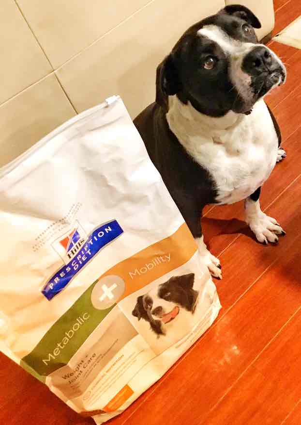 Hills Prescription Diet Canine Metabolic Weight Plus jd Mobility ...