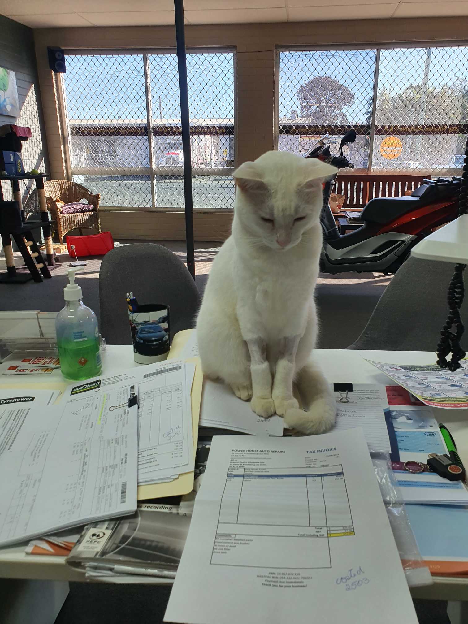 Hills Prescription Diet Feline cd Urinary Care Multicare Urinary Stress ...