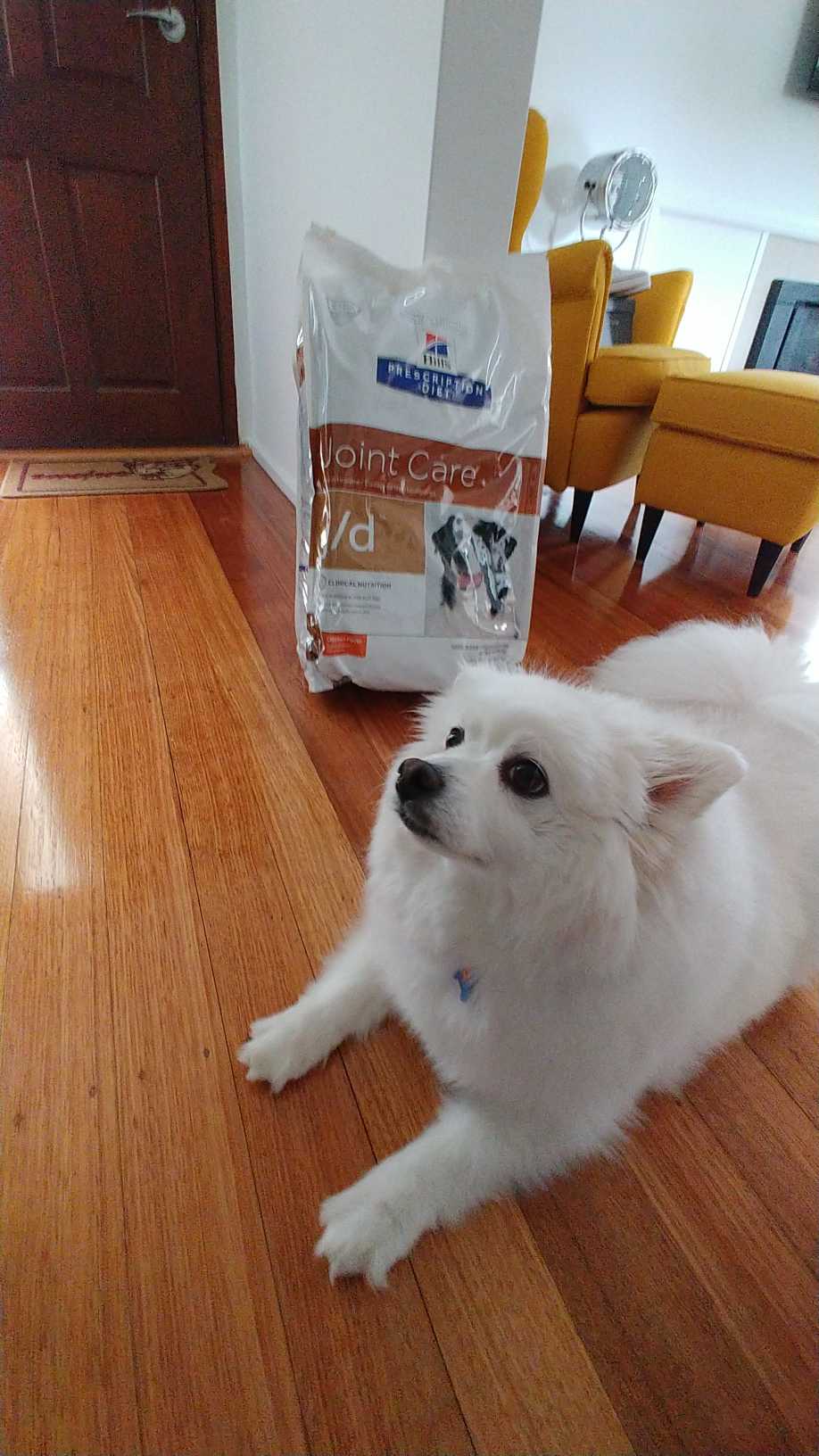Hills Prescription Diet Canine jd Joint Mobility Chicken Dry Dog Food ...