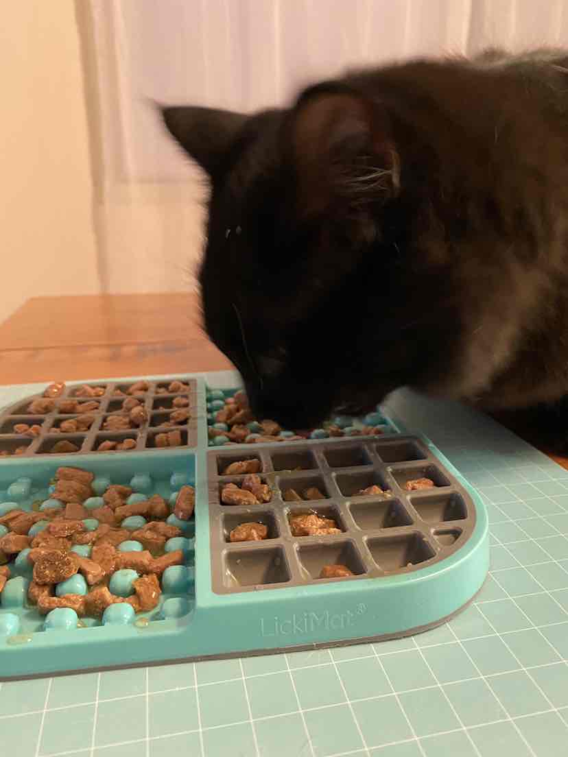 LickiMat Slomo Slow Feeder Mat Turquoise For Cats - $16.80