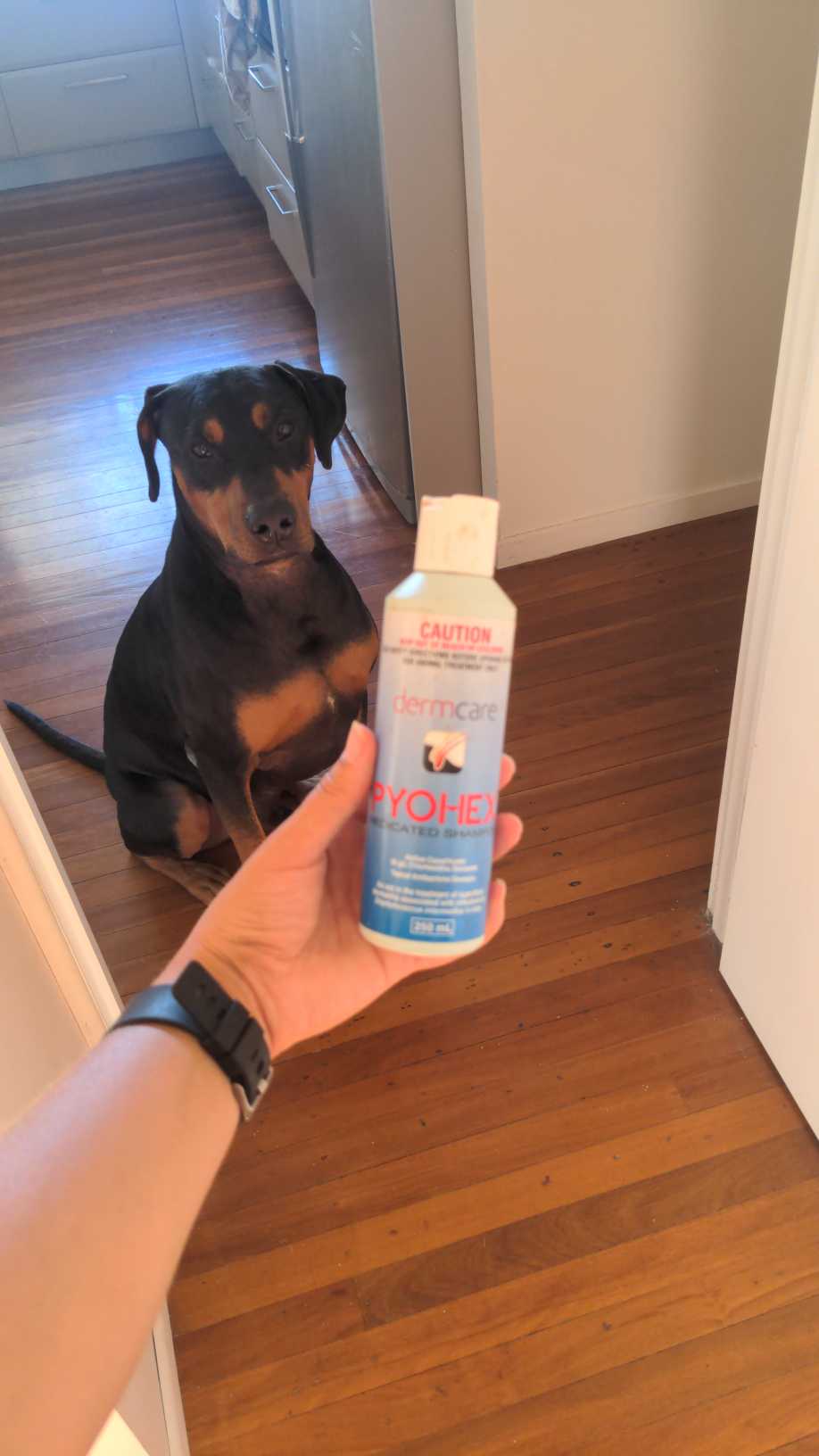 Pyohex Medicated Shampoo For Dogs 500ml - $24.64