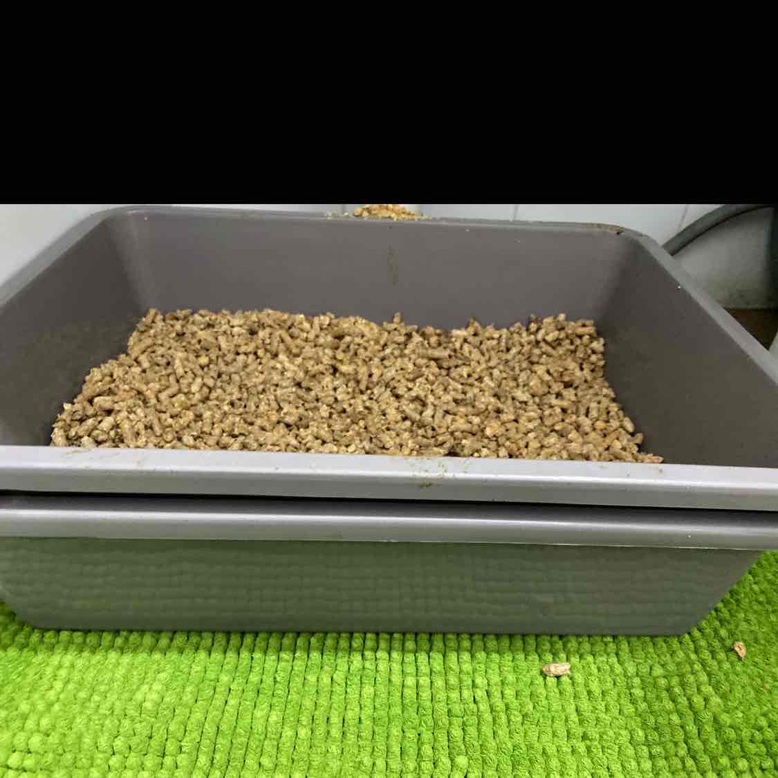 Kitter Cat Litter Beige Double Tray Set And Scoop For Wood Pellets - $28.00
