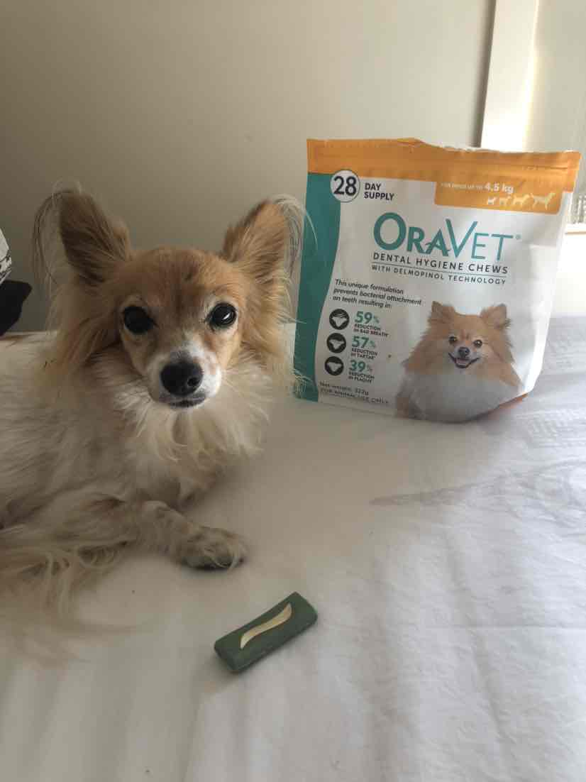 Oravet Dental Chews XSmall Dogs Up To 4.5kg 56 Days Treatment - $59.99