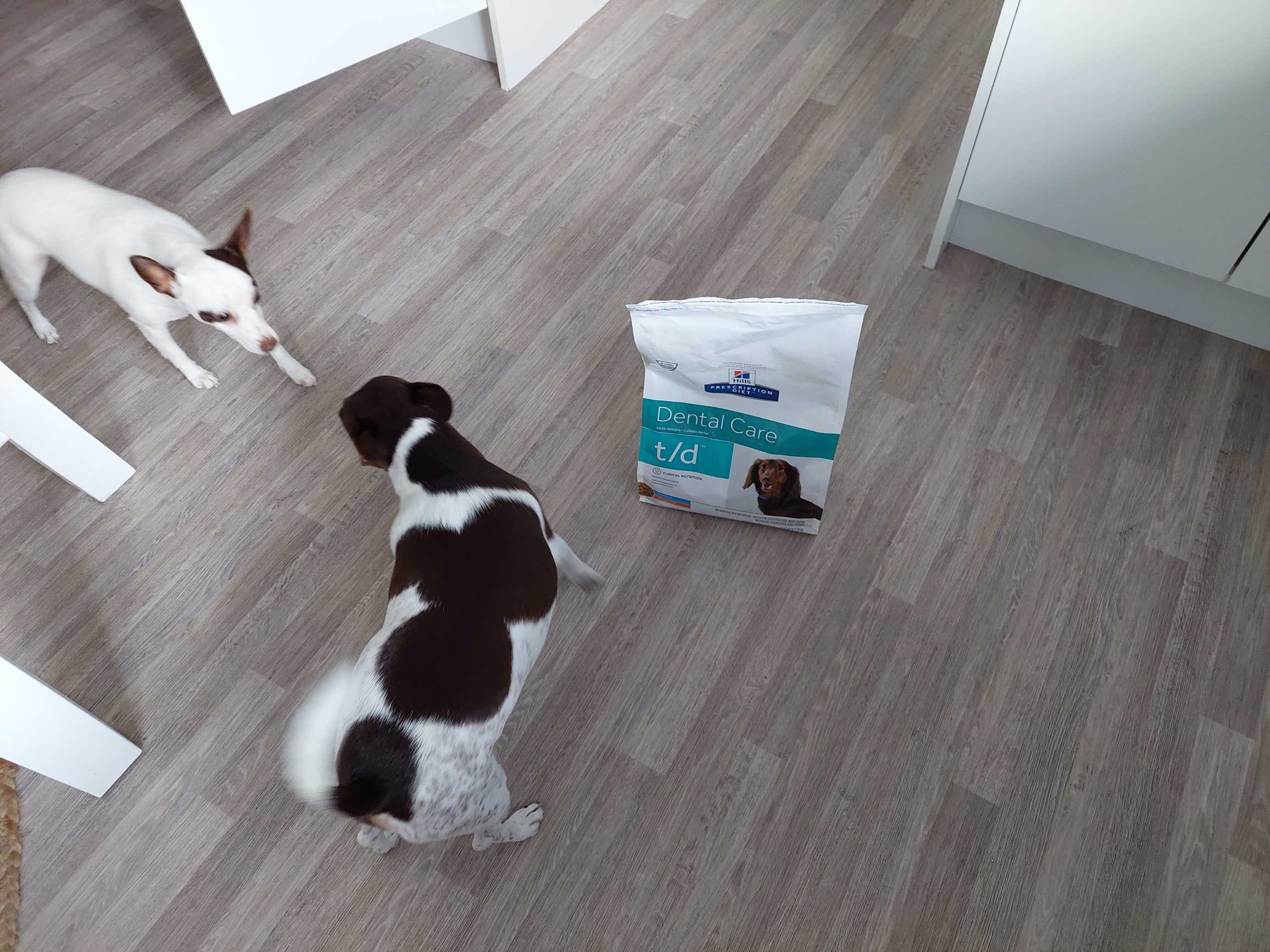 Hills Prescription Diet Canine td Dental Care Small Bites Chicken Dry ...