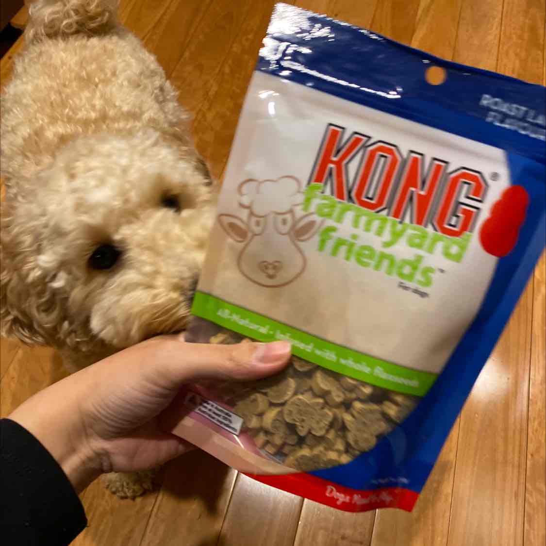 KONG Farmyard Friends Roast Lamb Flavour Biscuit Treats For Dogs 400g ...