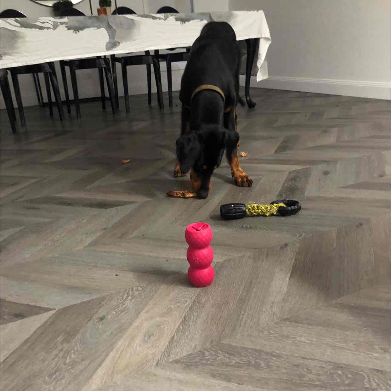 KONG Genius Mike Large Treat Dispensing Toy For Dogs - $19.99