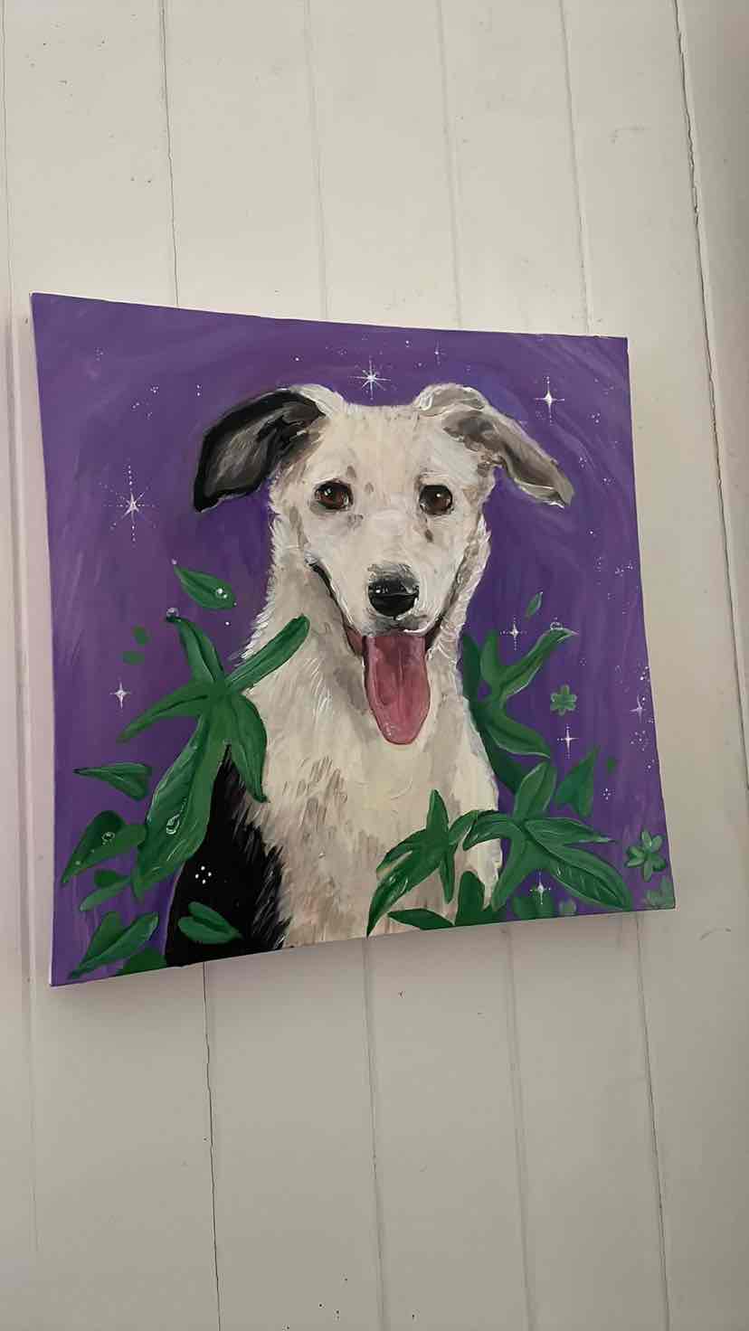 WAG Kangaroo Rib Rack Natural Dried Single Treat For Dogs - $9.99