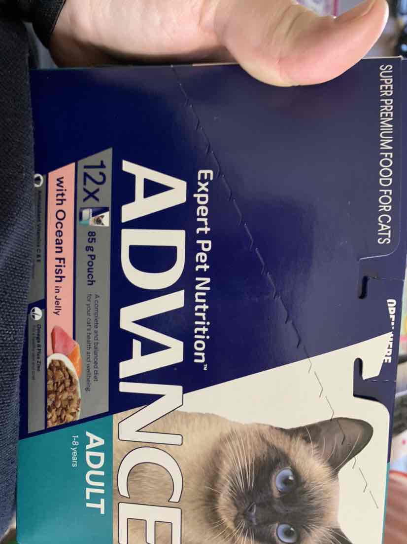 Advance With Ocean Fish In Jelly Adult 1+ Years Pouches Wet Cat Food ...