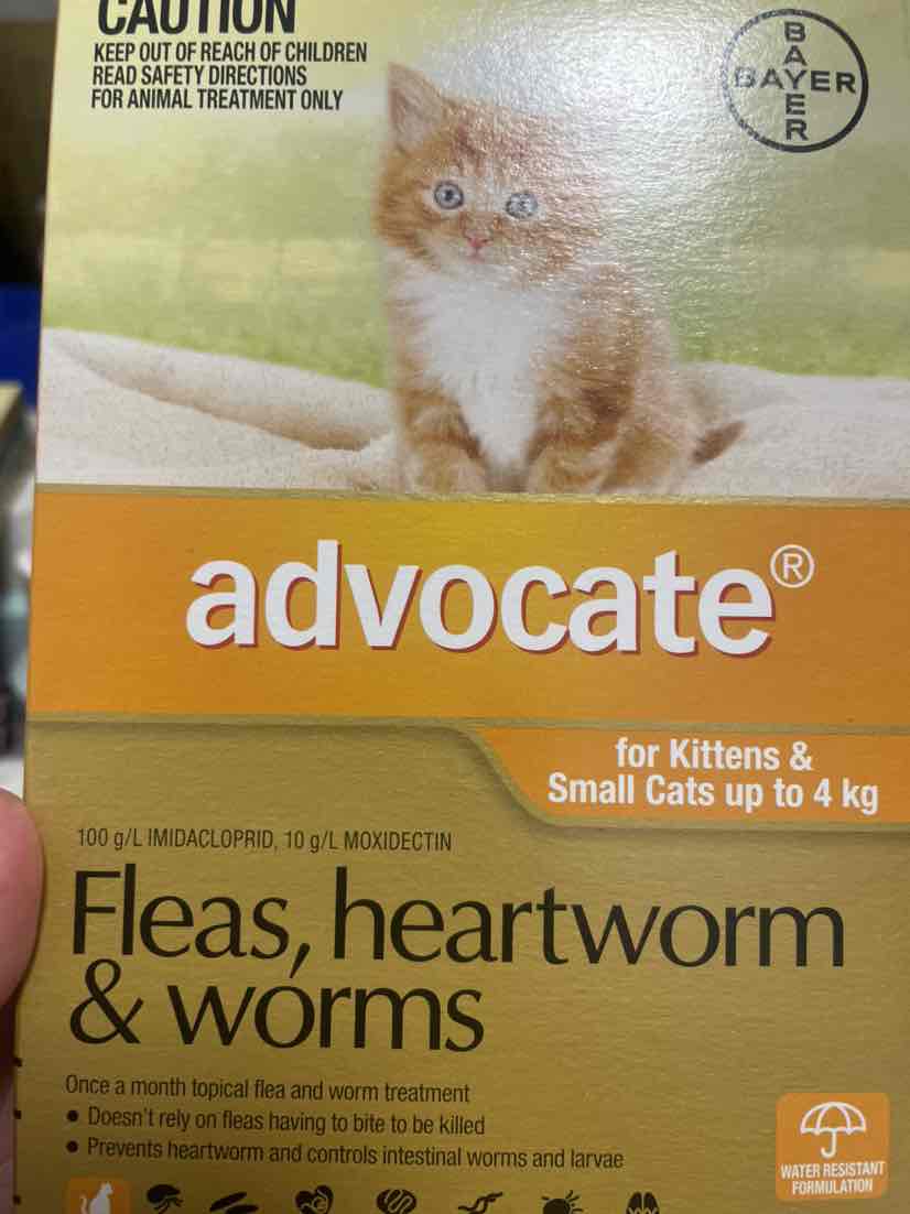 Advocate For Cats And Kittens Small Up To 4kg 6 pack - $81.18