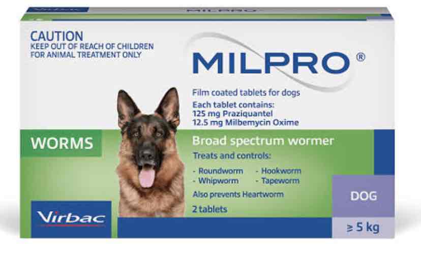 Milpro Broad Spectrum Wormer For Dogs Over 5kg 48 Tablets - $364.52