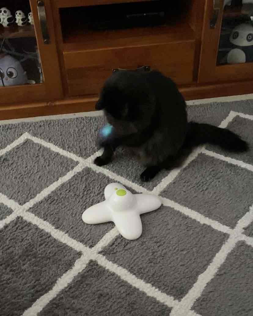 AFP Interactives Flutter Bug Butterfly Toy For Cats - $32.99