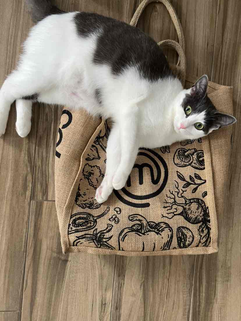 Trouble And Trix Lavender Clumping Scoopable Clay Litter For Cats 21kg ...