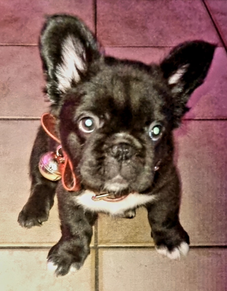 ProN8ure Multi Strain Probiotic Powder 2kg - $174.24