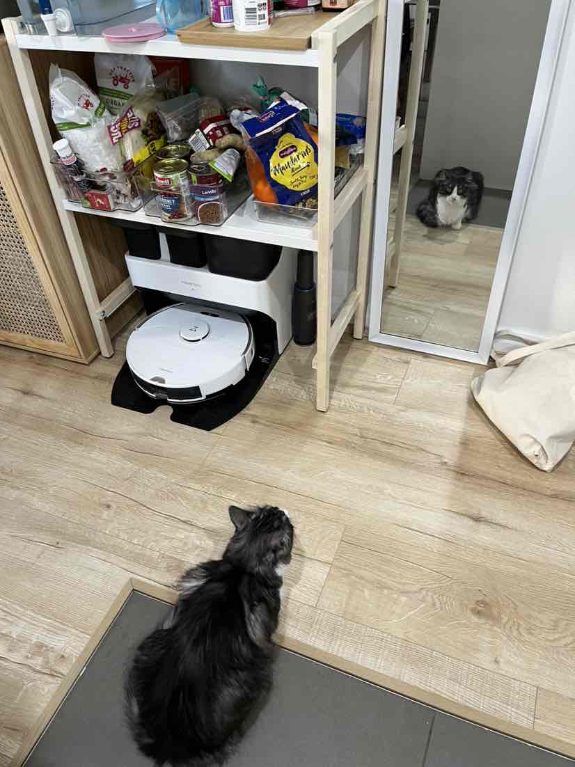 Trouble And Trix Lavender Clumping Scoopable Clay Litter For Cats 21kg ...