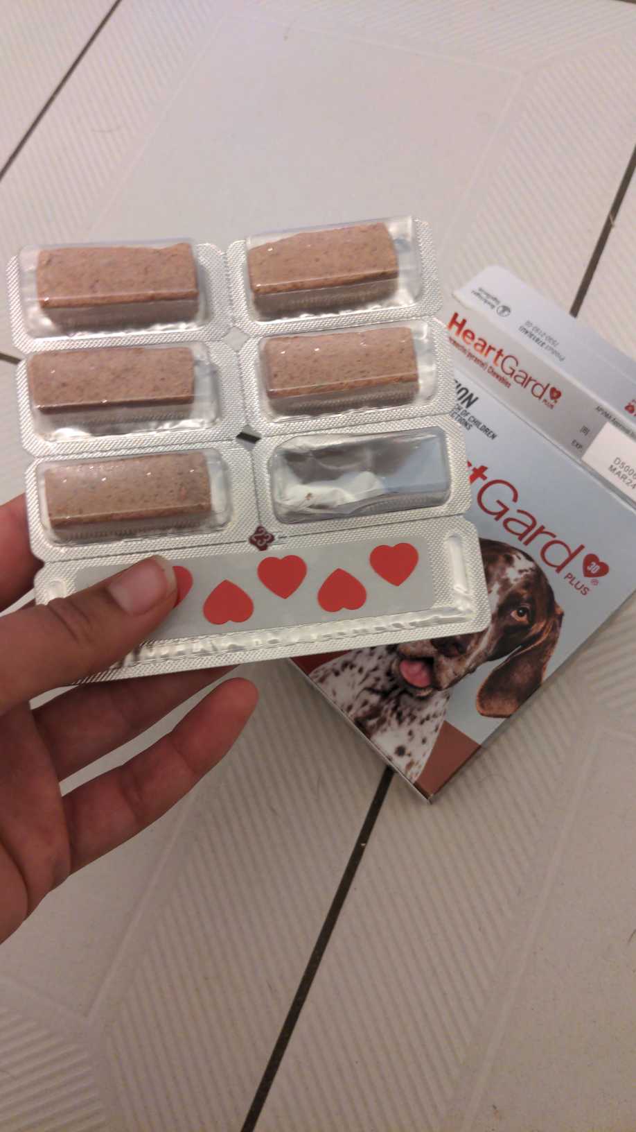 Heartgard Plus For Large Dogs 23-45kg Brown 6 Chewables - $67.99