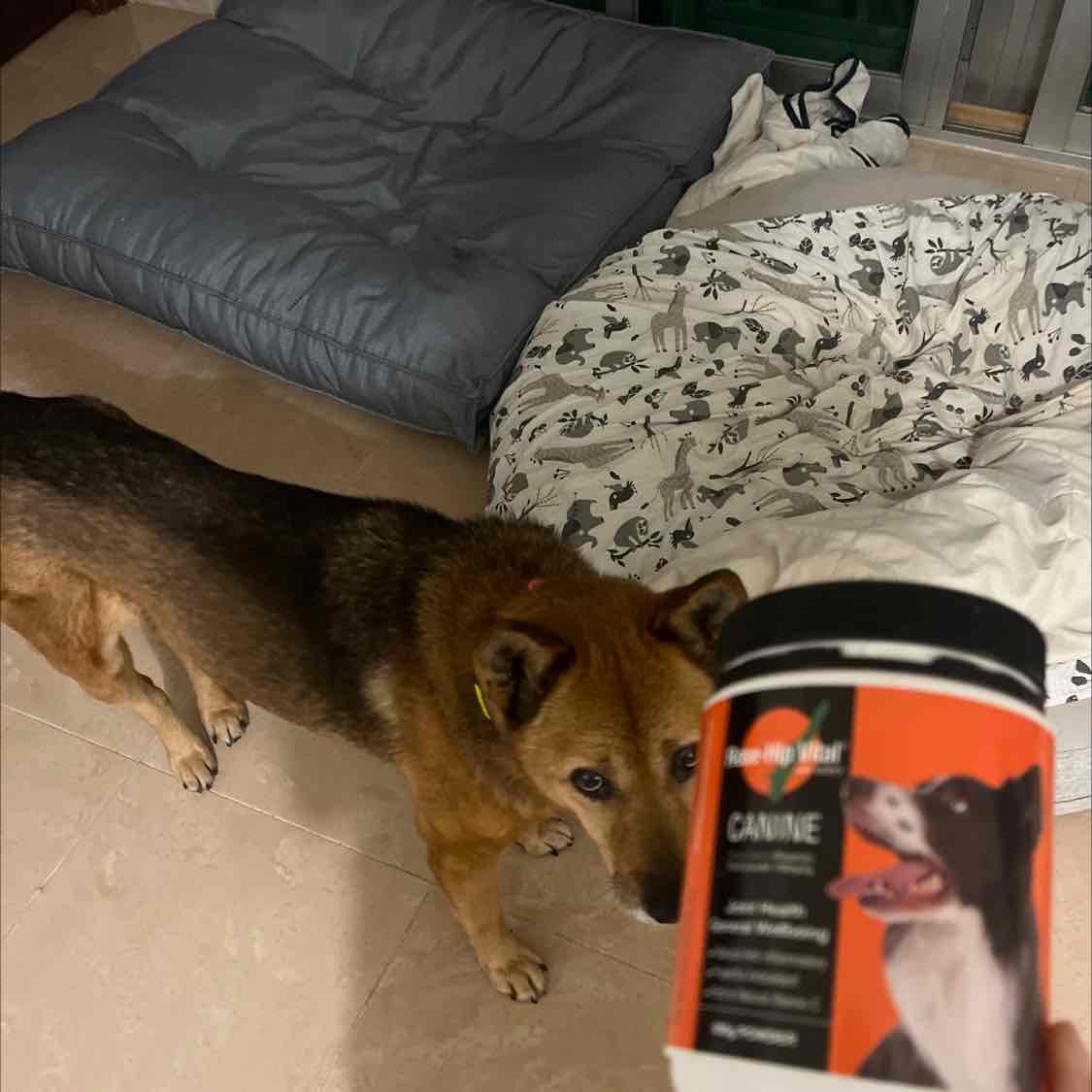 Rose Hip Vital Canine Powder For Dogs 1kg (500gm x 2) - $134.00