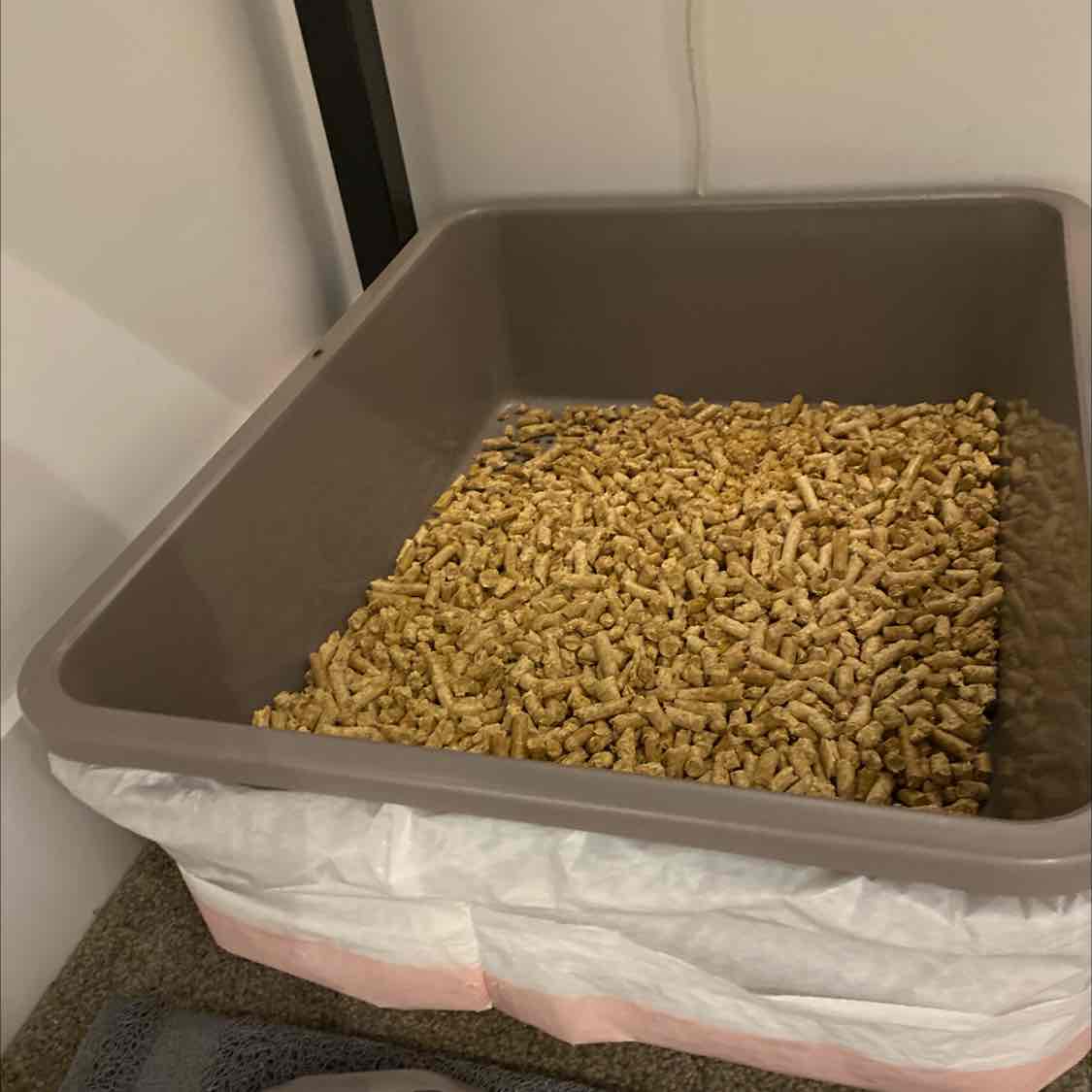 Kitter Cat Litter Beige Double Tray Set And Scoop For Wood Pellets - $28.00