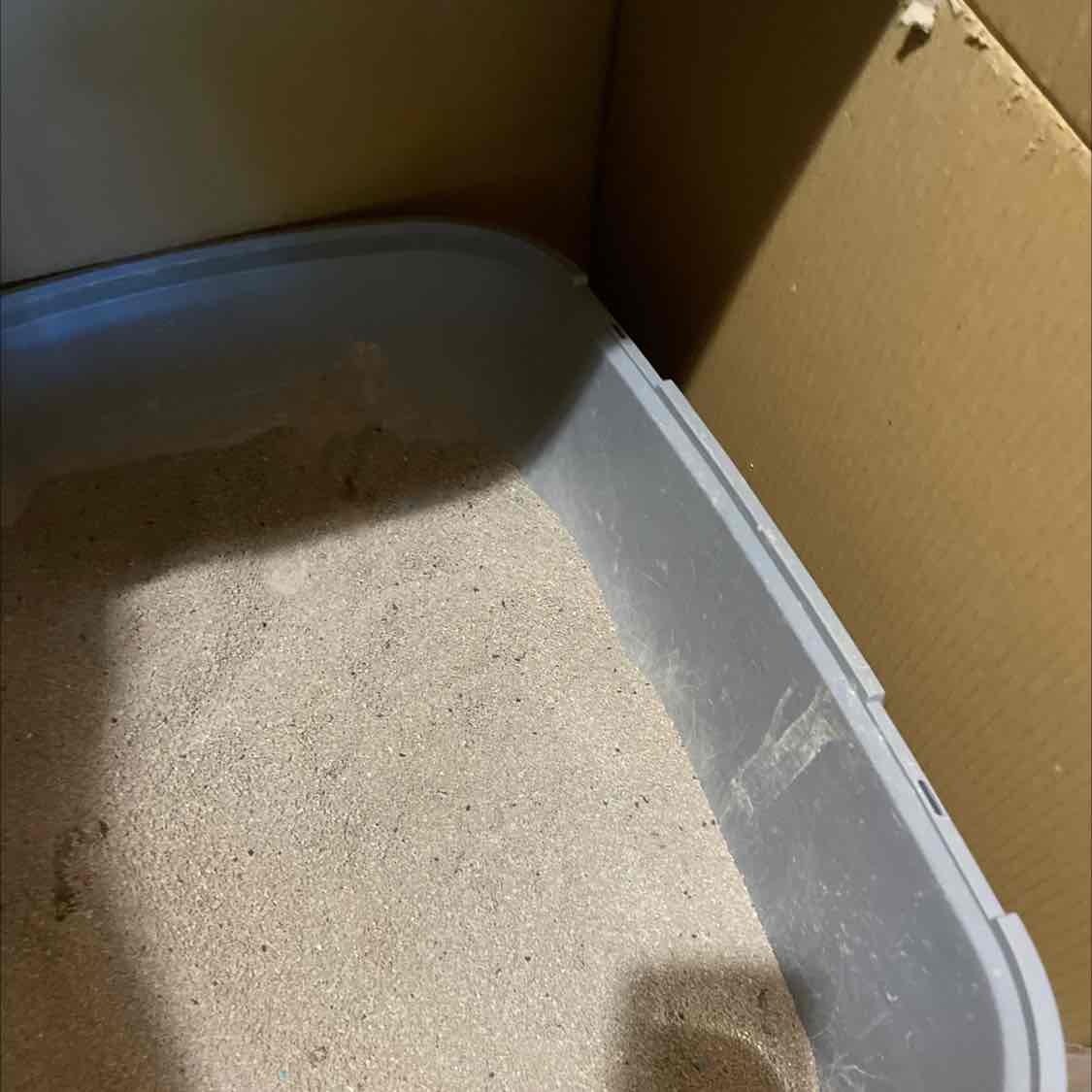 Trouble And Trix Lavender Clumping Scoopable Clay Litter For Cats 21kg ...