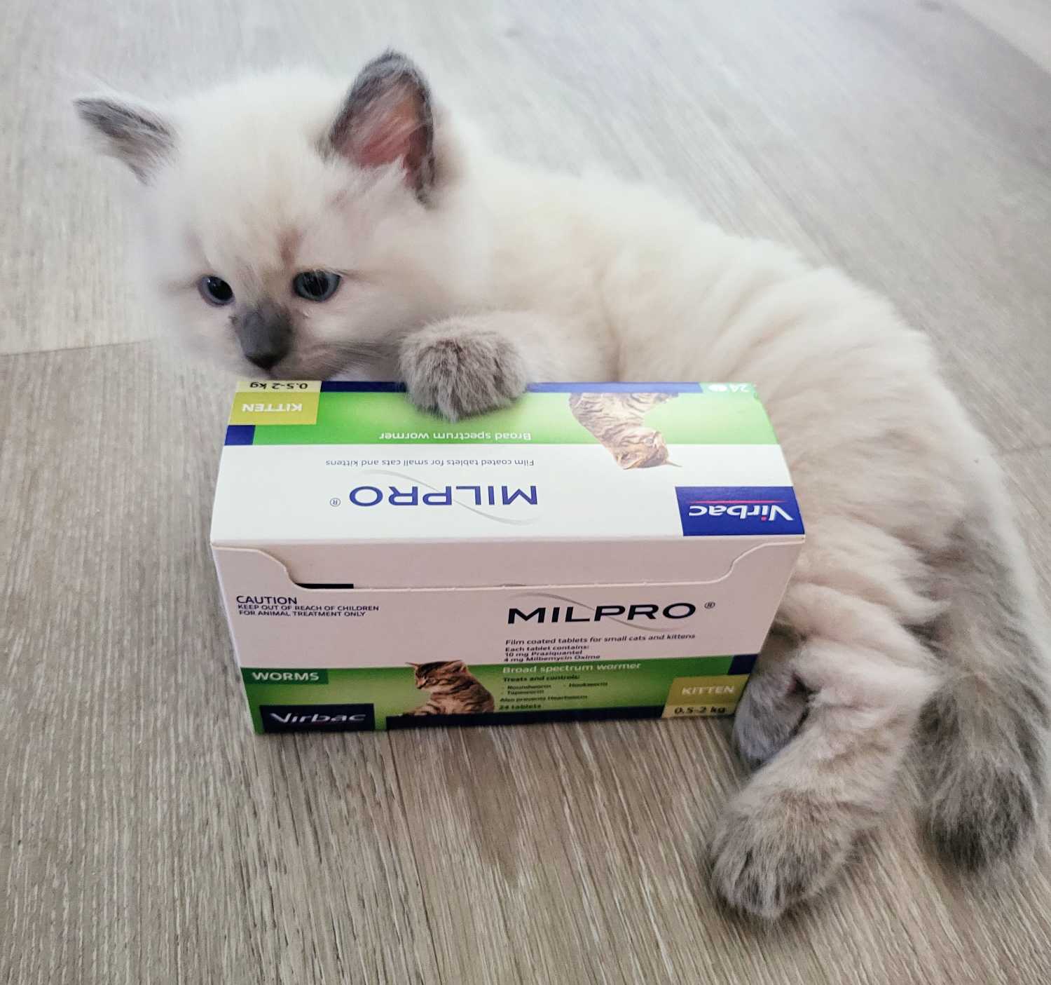 Milpro Broad Spectrum Wormer For Small Cats And Kittens Up To 2kg 24 ...
