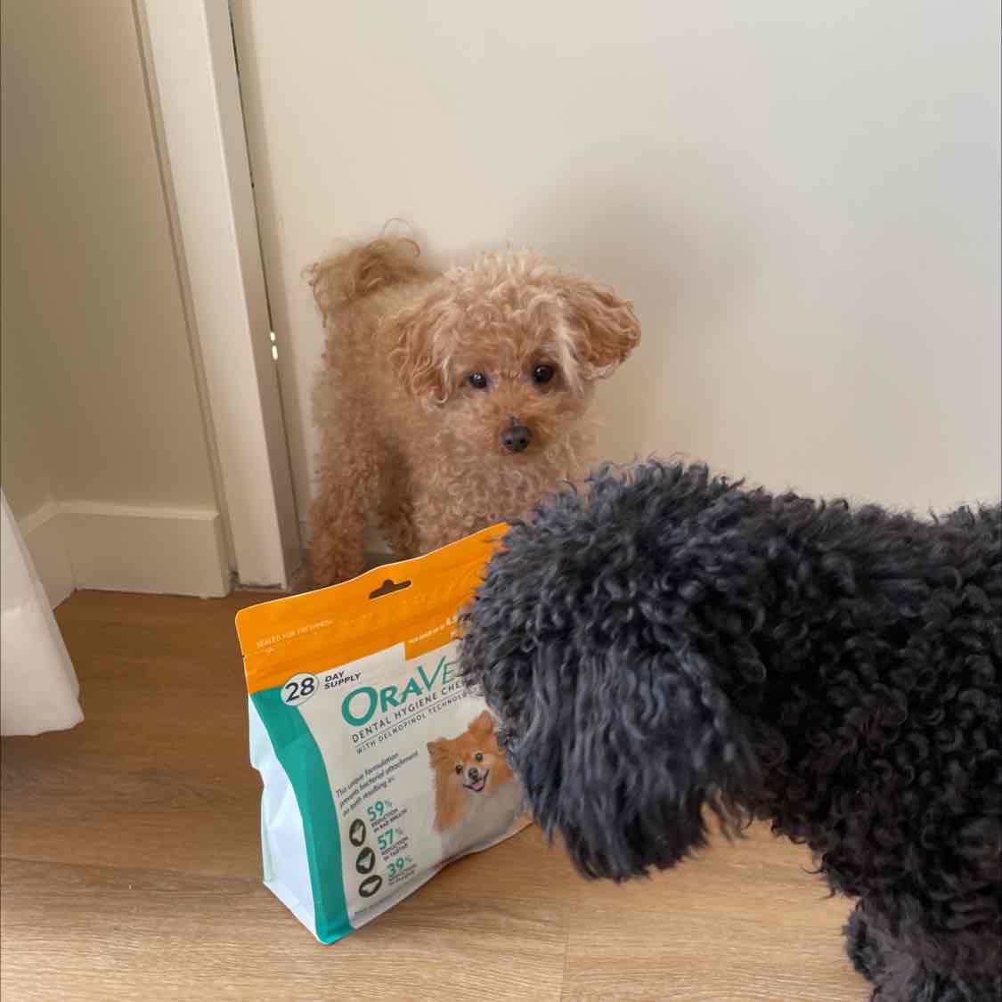 Oravet Dental Chews XSmall Dogs Up To 4.5kg 56 Days Treatment - $59.99