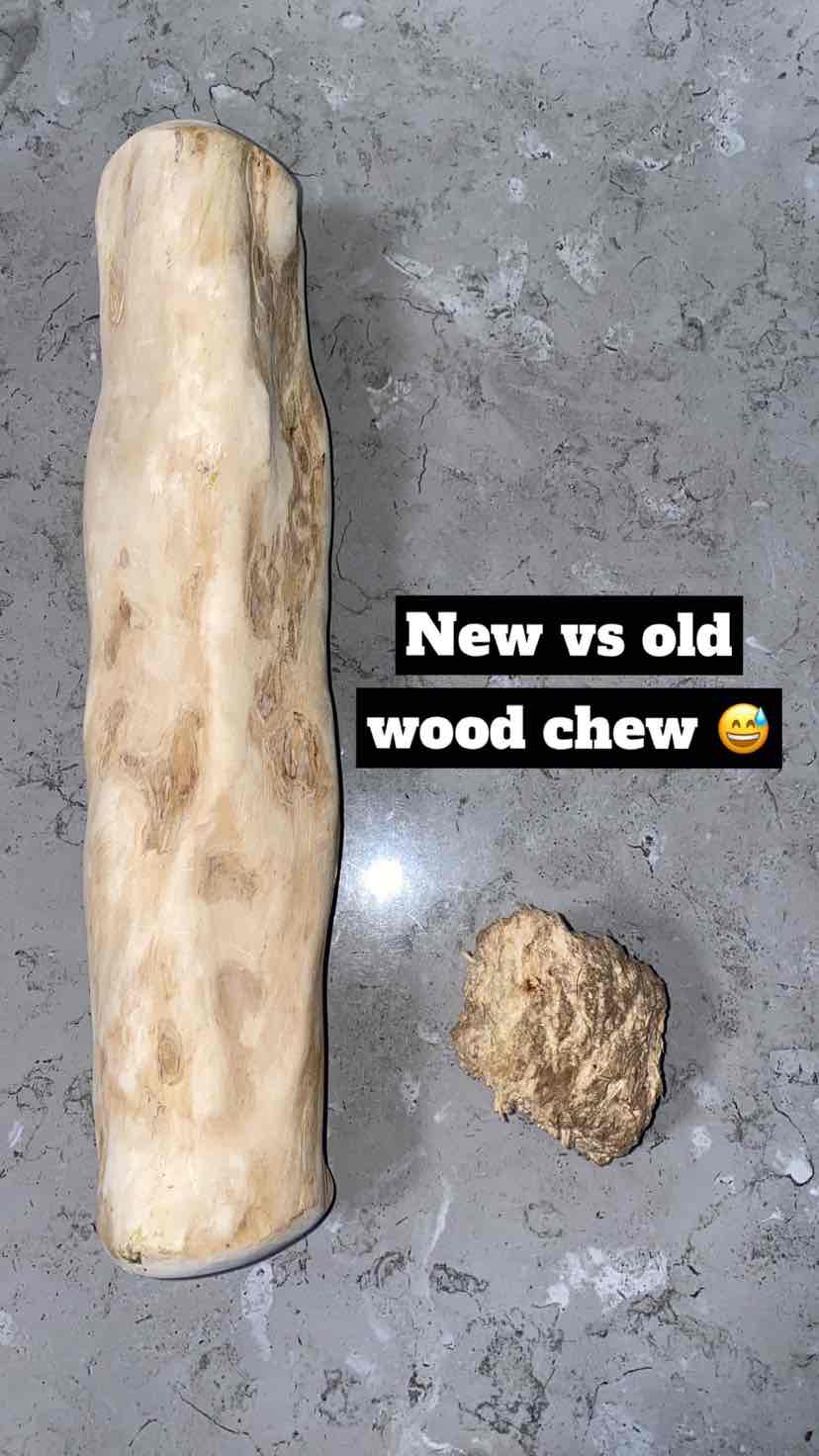 Furkidz Mighty Chomp Strong Natural Coffee Java Wood Stick Small Toy ...