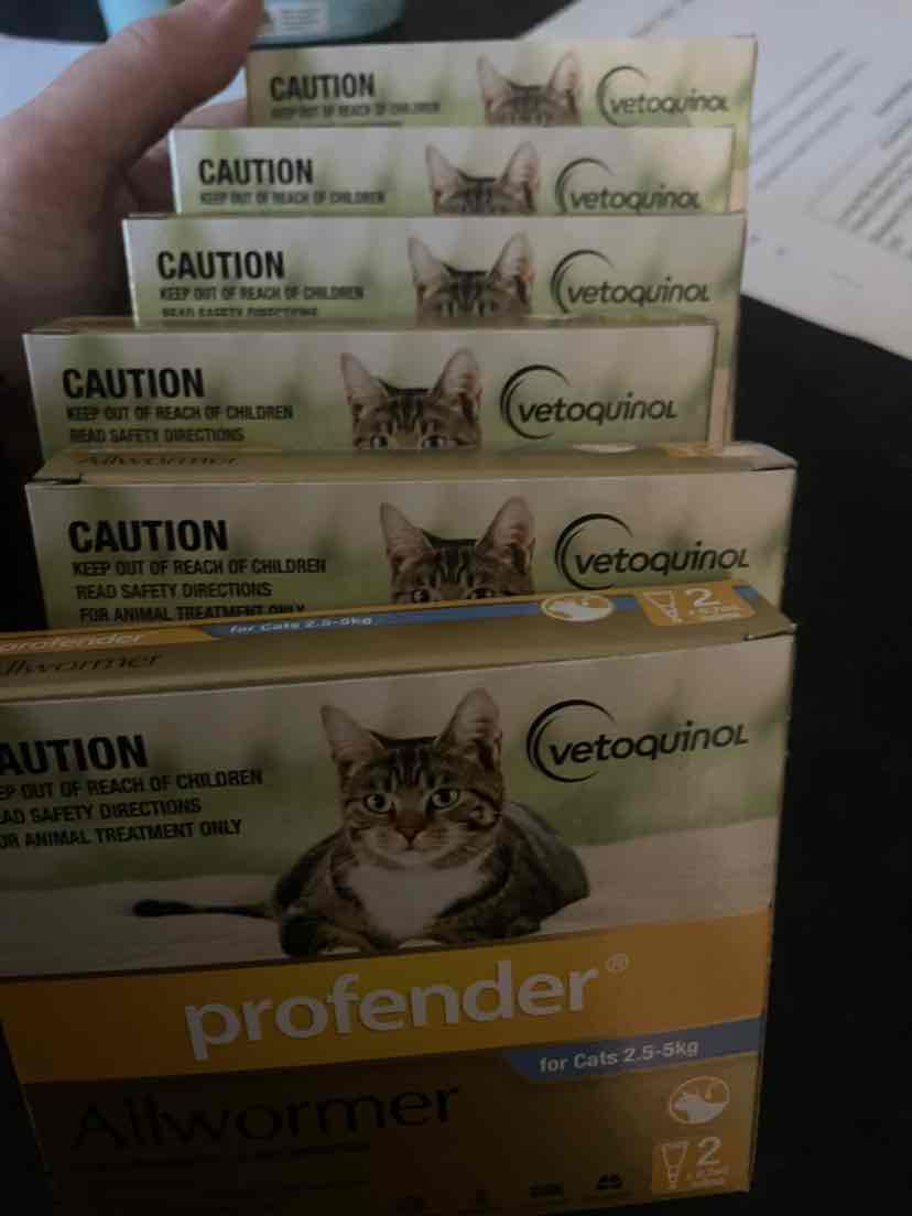 Profender For Cats All Wormer Blue 2.5-5kg - $27.21