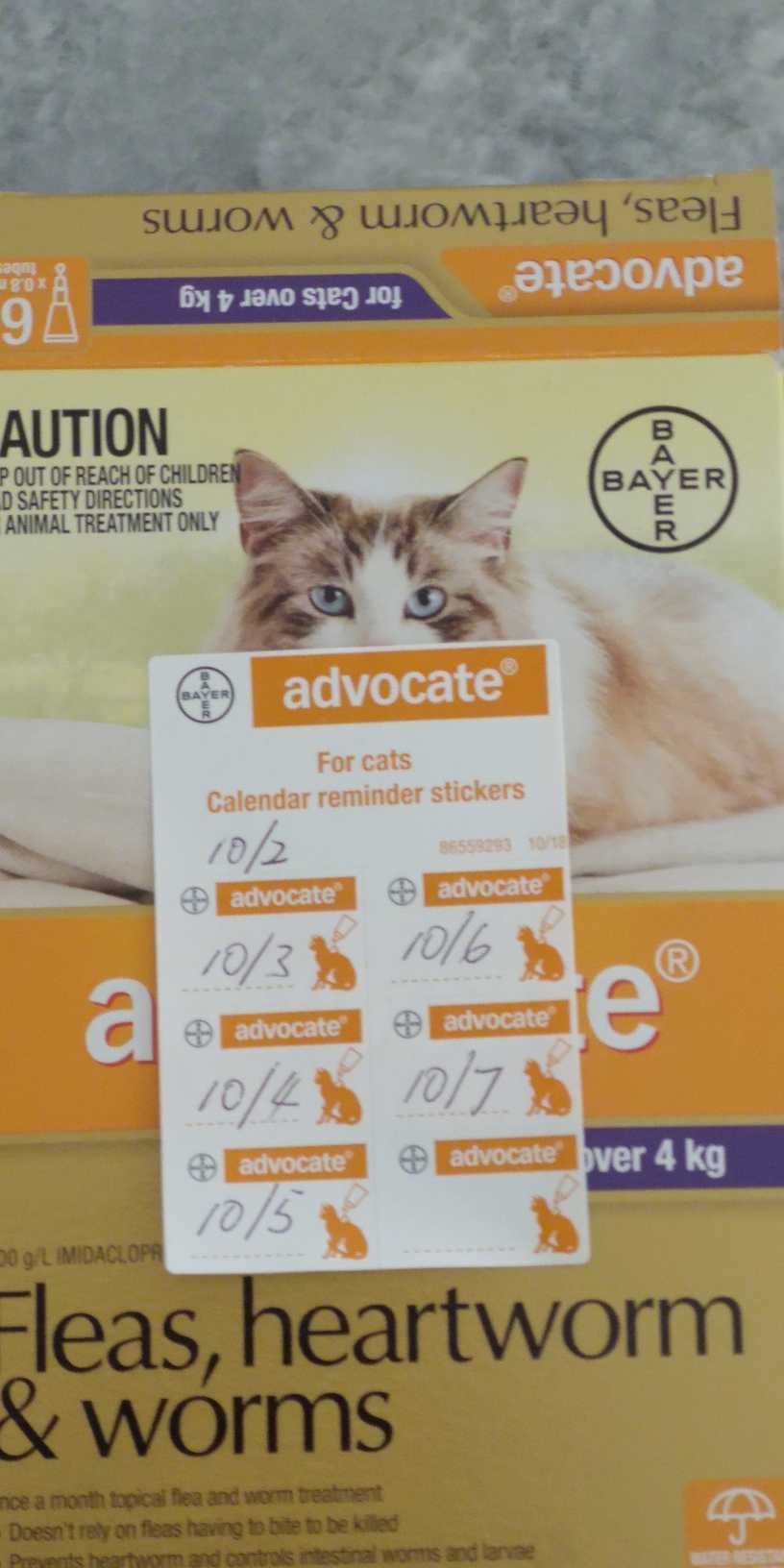 Advocate For Cats Large Over 4kg 6 pack - $79.99