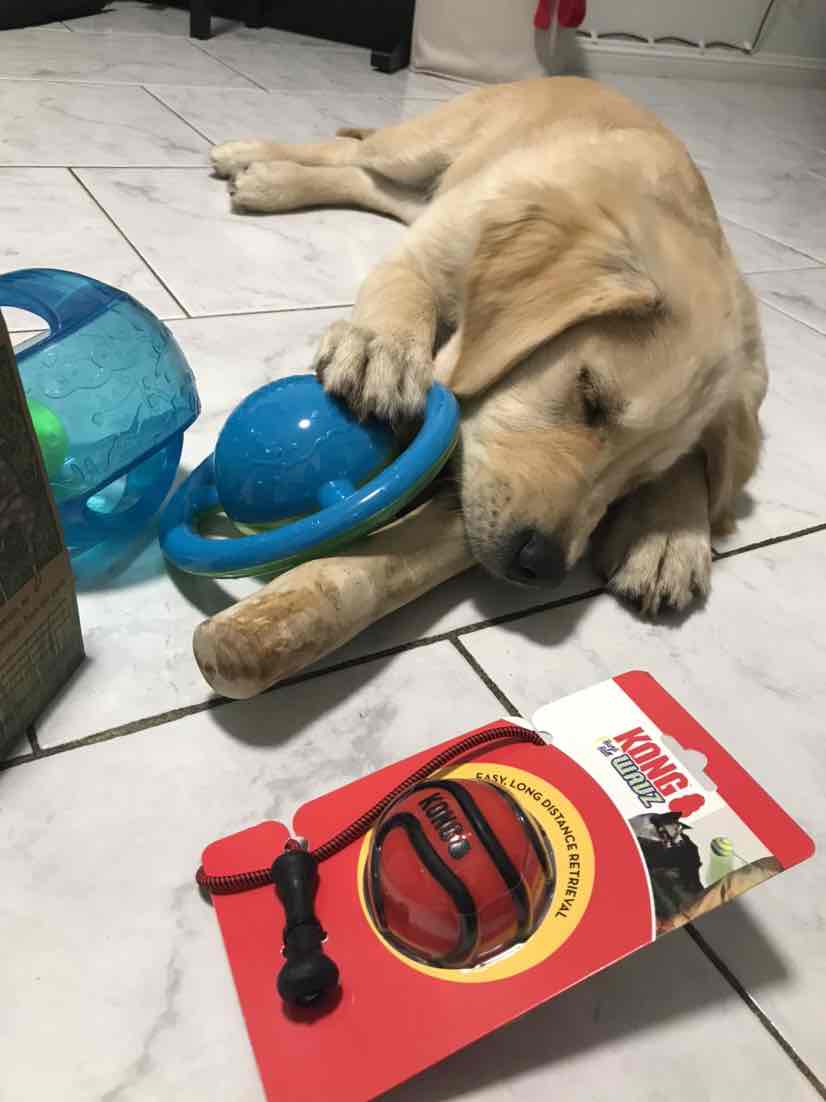 Furkidz Mighty Chomp Strong Natural Coffee Java Wood Stick Large Toy ...