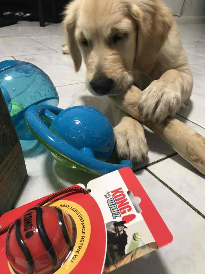 Furkidz Mighty Chomp Strong Natural Coffee Java Wood Stick Small Toy ...