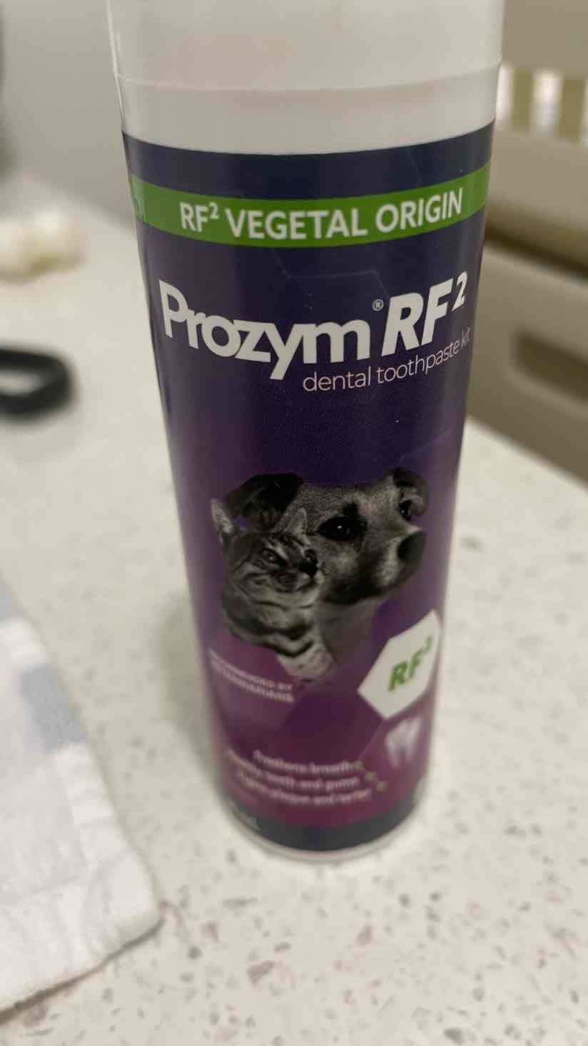 Prozym Dental Toothpaste Kit For Cats And Dogs - $26.25