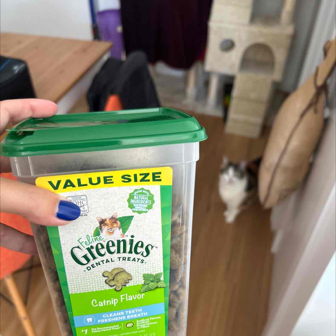 Greenies Feline Dental Treats Catnip Flavour For Cats Tub 277g - $29.95