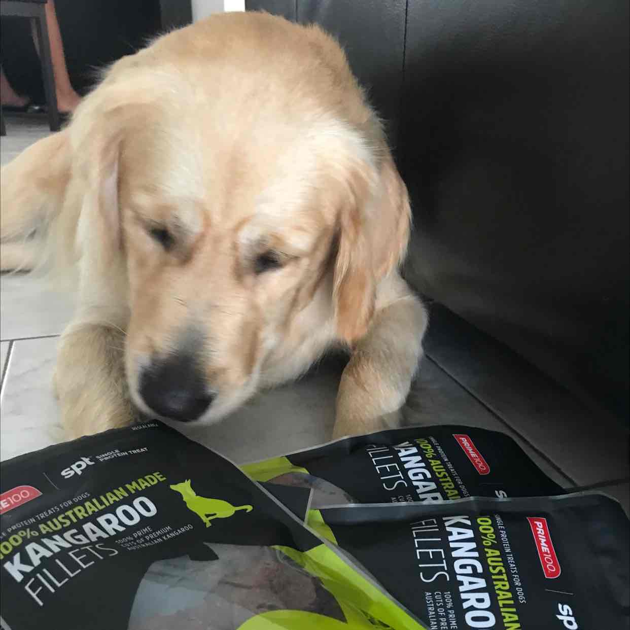 Prime100 SPT Single Protein Kangaroo Fillet Treats For Dogs 100g - $9.59