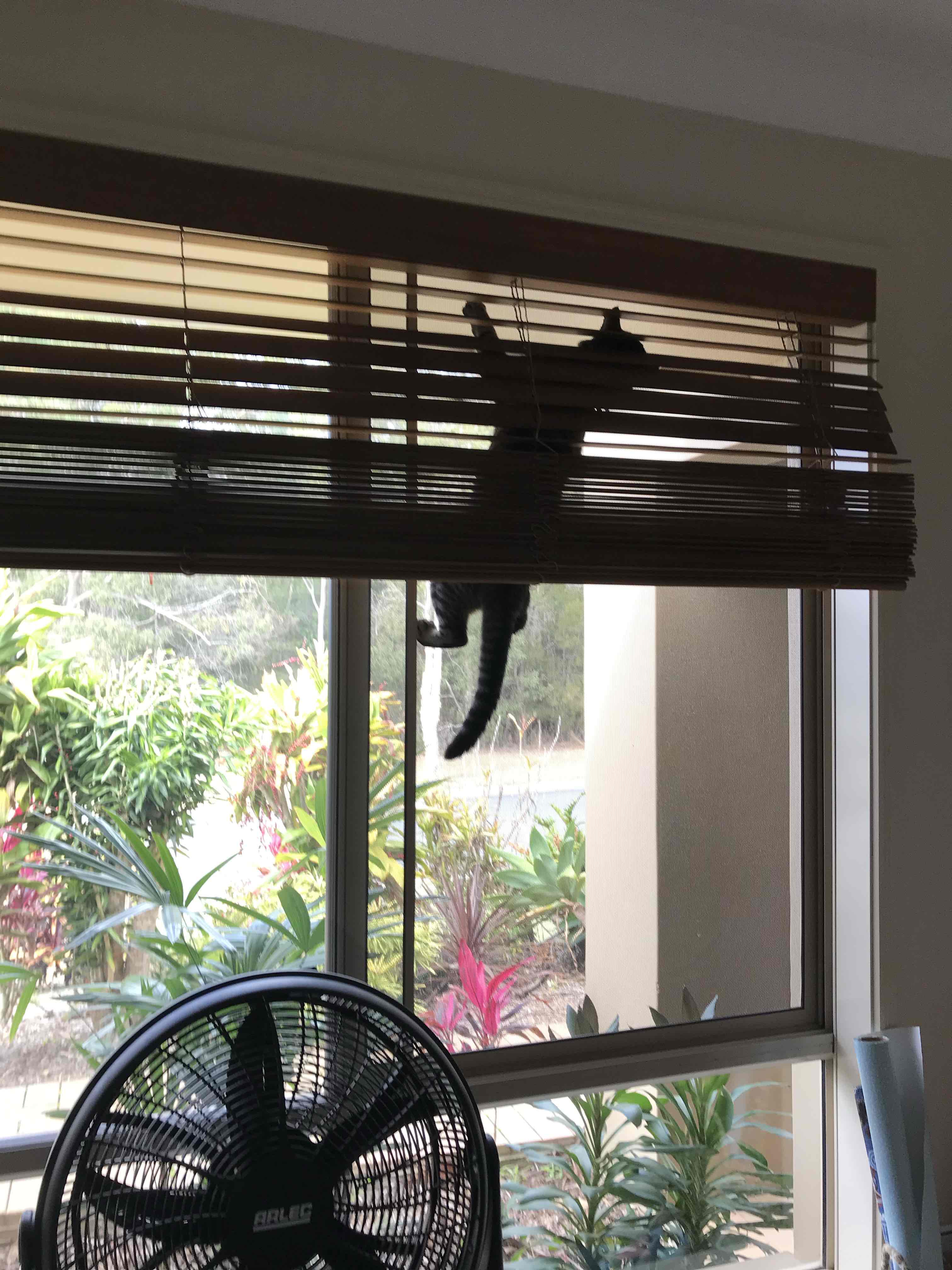 Kitter Wood Pellet Cat Litter 30kg - $44.00