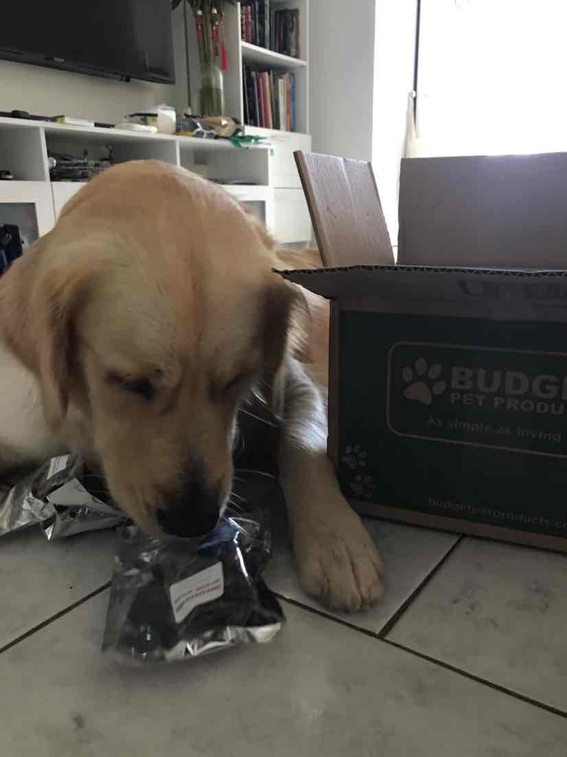 Hoof For Dogs Australia at Linda Platt blog