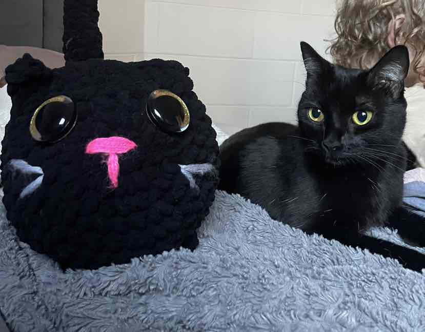 Kitter Wood Pellet Cat Litter 15kg - $23.50