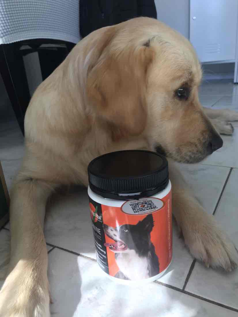 Rose Hip Vital Canine Powder For Dogs 1kg (500gm x 2) - $134.00