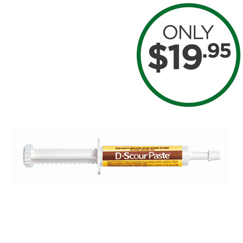 KONG Farmyard Friends Smoked Bacon Flavour Biscuit Treats For Dogs ...