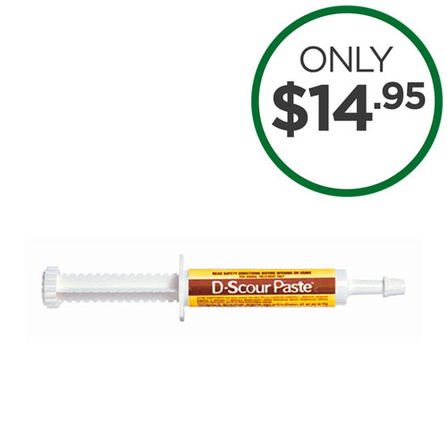 Dermcare Otoflush Gentle Ear Cleanser For Dogs 125ML - $24.90