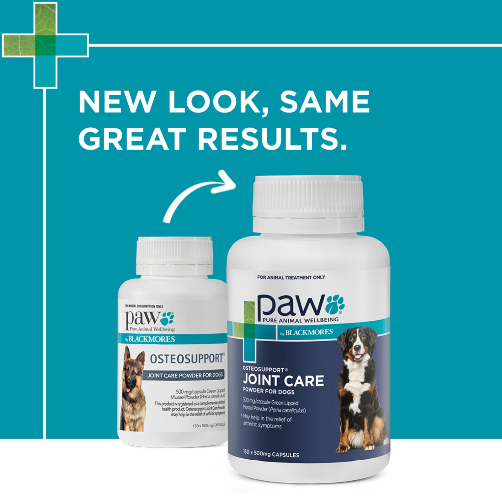 PAW By Blackmores Osteosupport Joint Care Powder For Dogs 300 x 500mg ...