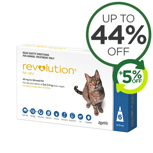 Buy Cat and Kitten Supplies Online | Budget Pet Products | Budget Pet ...